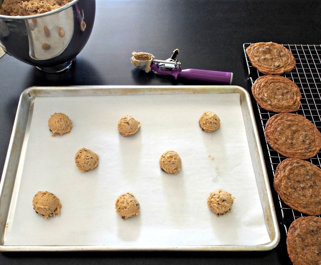 Cow Chip Cookies - Simply Sated